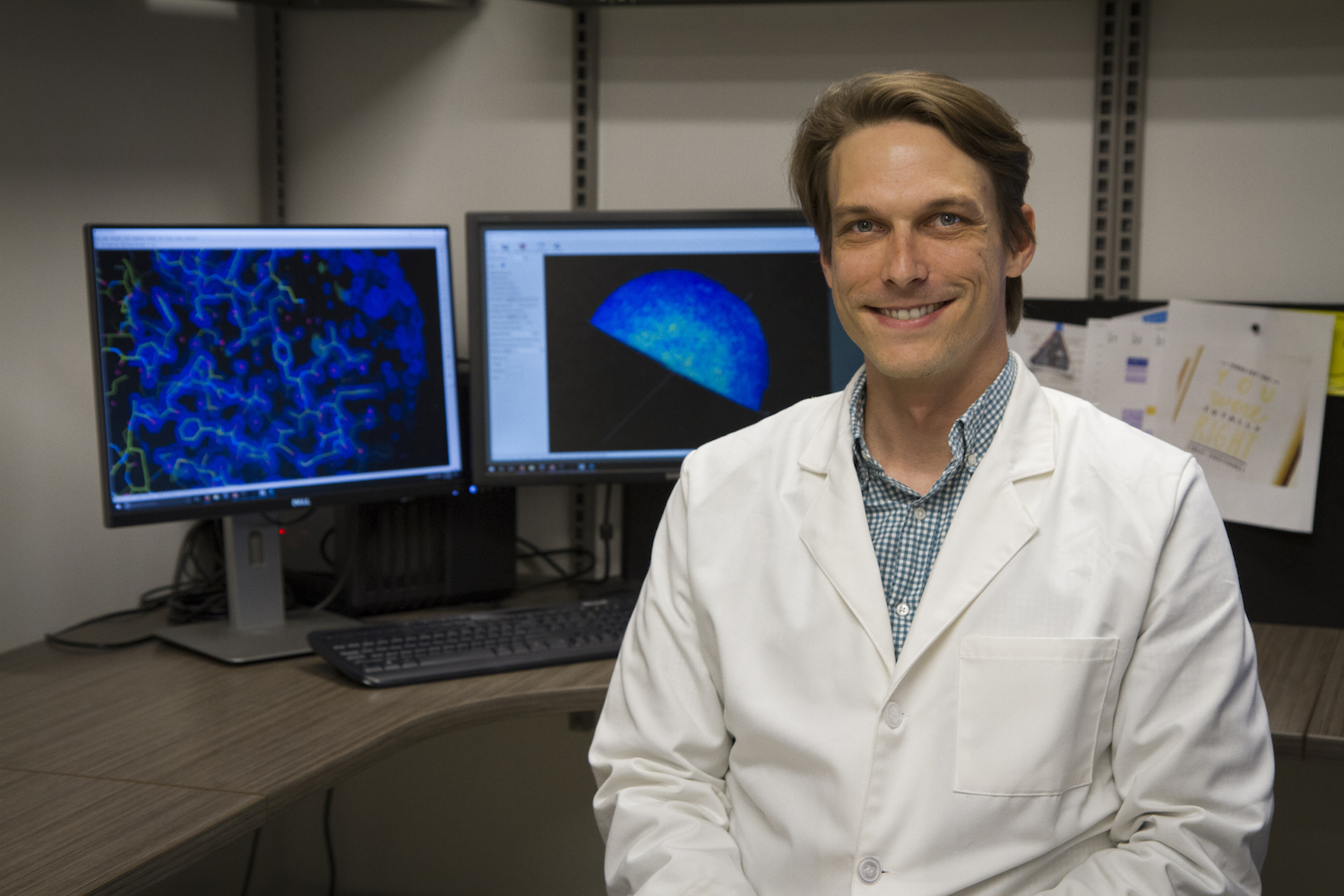 Q&A: Thomas Moon, Postdoc at the Molecular Level | Research and ...